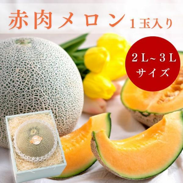 果肉の色鮮やかなオレンジ色が目にも美しい、ジューシーな赤肉メロン。品種は「レノンメロン」「クインシーメロン」「なだろうレッド」など、その時期に最もおいしいものを厳選してお届けします。どの品種も共通して、しっかりとした甘みと豊かな香り、とろけ...