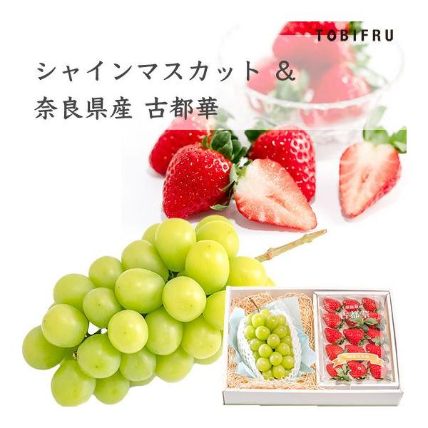 フルーツアドバイザーが厳選するおススメのフルーツセットをお届けします！シャインマスカットと古都華を一緒に味わえる期間は約1ヶ月！！！是非この時期にしか味わうことのできないセットを大切な方へのプレゼントとしてご利用ください♪〜奈良県　古都華〜...