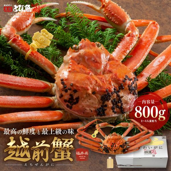 冬の味覚の王様ズワイガニ その中でも高級な越前ガニを福井より発送いたします。未冷凍なので甘いカニの身と濃厚なかにみそをお楽しみいただけます。ボイルの場合は茹でたてを発送いたします。(ボイル後は重さが軽くなります)活の場合は活きたまま梱包しま...