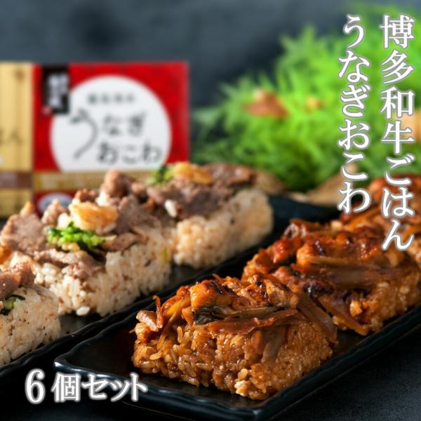 霧島湧水うなぎおこわと博多和牛ごはん 6個セット(各3個ずつ) 食べたいときに電子レンジでチン！ 国産(鹿児島県産)うなぎ 鰻 黒毛和牛 お手軽 個食 贈答 ギフト プレゼント お米 米 惣菜 冷凍食品 のし対応 熨斗 熟成米寸志 御礼 御...