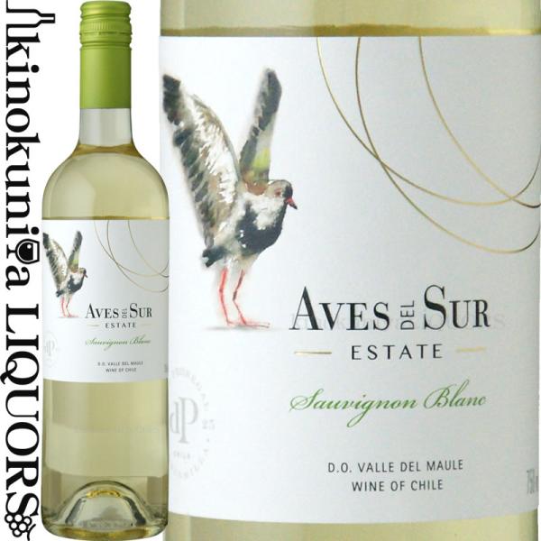 Aves del sur Sauvignon Blancデル・スール ソーヴィニヨン・ブラン色：白ワイン味わい：辛口ヴィンテージ：品名に記載産地：チリ セントラルヴァレー原産地呼称：ロンコミージャ・ヴァレーD.O.品種：ソーヴィニヨン・ブラ...