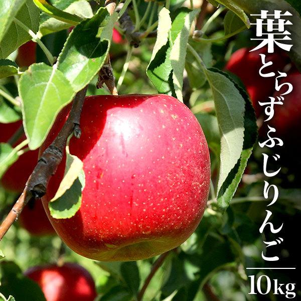 【名称】スマートフレッシュりんご【産地】青森県【内容量】10kg【保存方法】冷暗所または冷蔵保存【特徴】スマートフレッシュ保存 産地直送