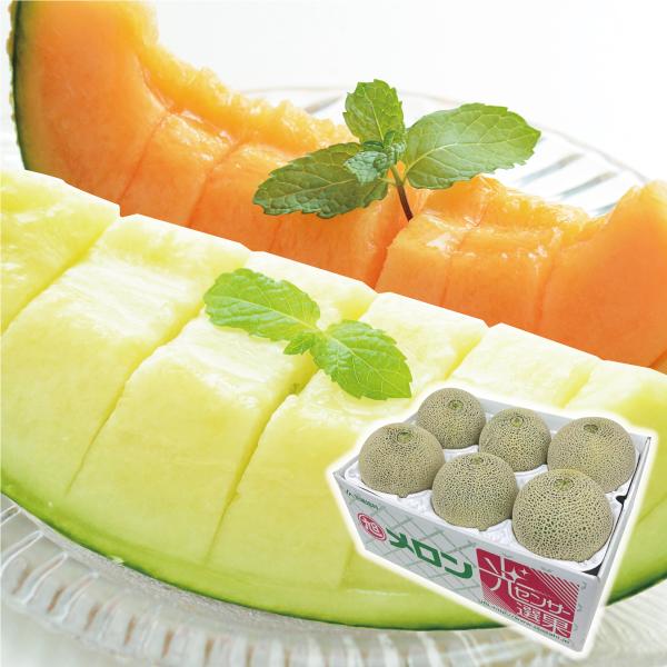 茨城県産のメロンを産地直送でお届けします。赤肉メロンと青肉メロンをバランスよく詰め合わせたミックスセットで、食べ比べが楽しめます。芳醇な甘みの赤肉メロンと、さっぱりとした甘さの青肉メロン、それぞれの美味しさを味わえます。訳あり品のため、見た...