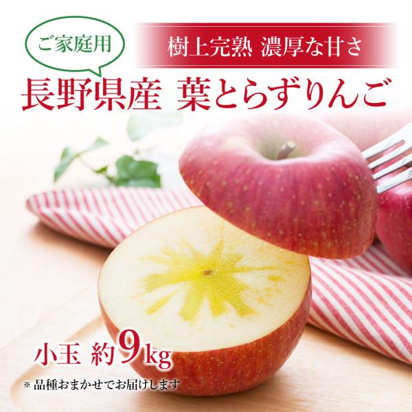長野県産 葉とらず小玉ふじりんご ご家庭用9kg(46~60玉)