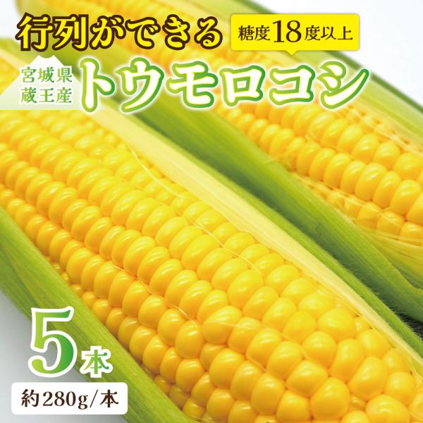 【発売日：2026年07月24日】●産直で行列ができる宮城のブランドとうもろこし甘くて生でも食べられる事から、フルーツコーンとも呼ばれる宮城県産のトウモロコシをご存知でしょうか。粒が柔らかく糖度が高いため、一度食べたら忘れられない味わいのフ...