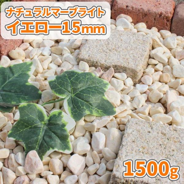 大理石の可愛らしい黄色の玉砂利「ナチュラルマーブライト イエロー」です。自然で優しくかわいらしいイエローが特徴です。乾いている状態では淡く白っぽい黄色、濡れると色味が濃くなり、はっきりとした印象の黄色になります。■サイズ:約15mm■1袋の...