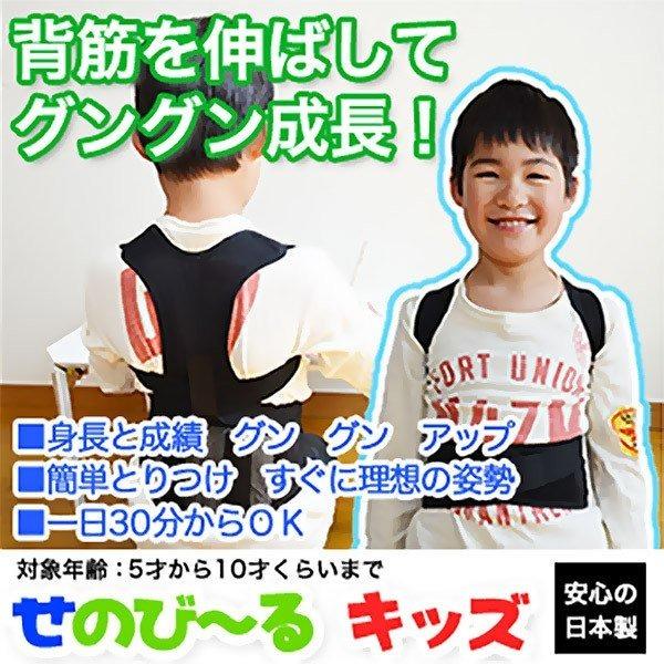 身長と成績がぐんぐんとアップ！？せのび〜るキッズとは、素直で心も骨も柔らかいお子様向けの背筋ベルトです。理想的な姿勢を身につけてグングン成長！集中力アップ！〇ウエストを固定し、締め上げベルトを脇から通し引っ張る事で理想的な背筋のSラインつく...