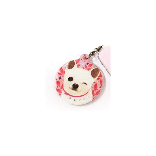 ズームインでも紹介チワワ犬