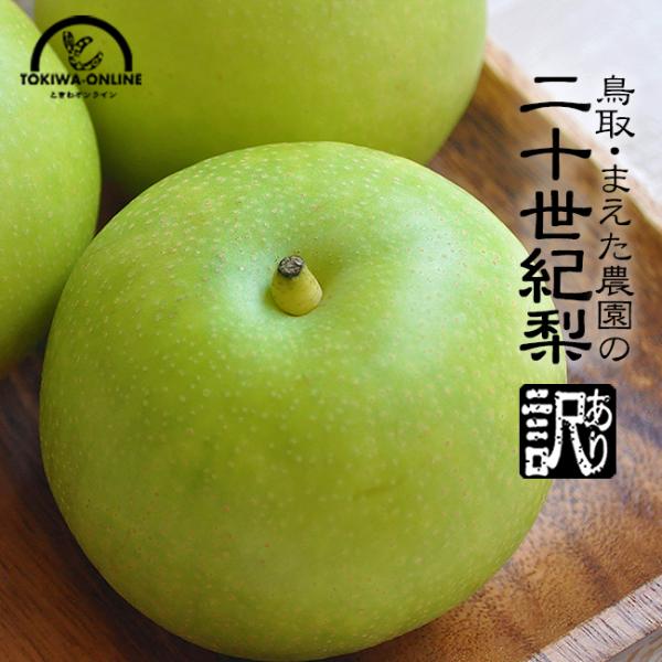 【発売日：2026年07月21日】■商品名■　二十世紀梨（訳あり）■内容量■　3kg(10〜12玉入)※玉数は目安です■発送情報■　発送予定（納期情報）を必ずご確認ください。※注文殺到の場合は、さらにお届けに日数をいただく場合もあります。あ...