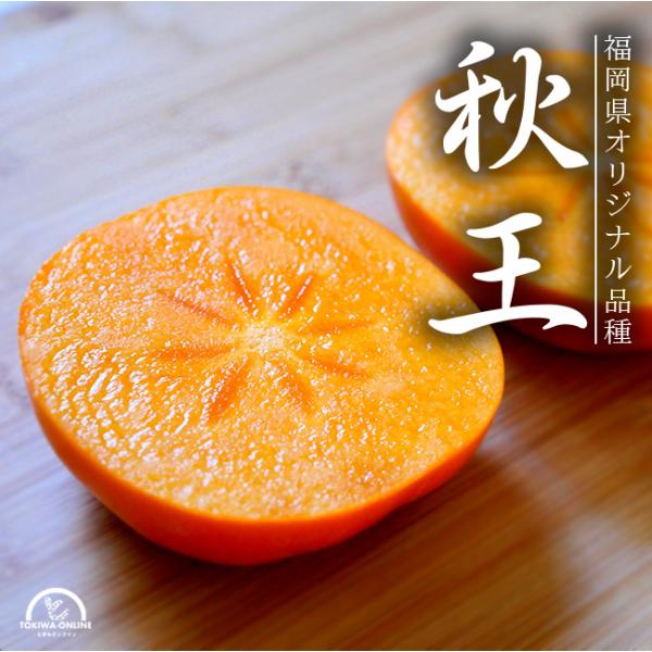 【発売日：2026年09月15日】■商品名■　秋王 柿■内容量■　約1.8kg (5〜7玉入)※重量は目安です■発送情報■　発送予定（納期情報）を必ずご確認ください。※注文殺到の場合は、さらにお届けに日数をいただく場合もあります。あらかじめ...
