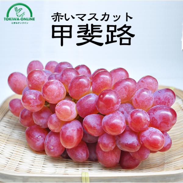 【発売日：2026年08月11日】■商品名■　甲斐路■内容量■　約3kg 5~6房 (房数はあくまで目安です。その年の気候によって房数が異なる場合があります)■発送情報■　発送予定（納期情報）を必ずご確認ください。※注文殺到の場合は、さらに...