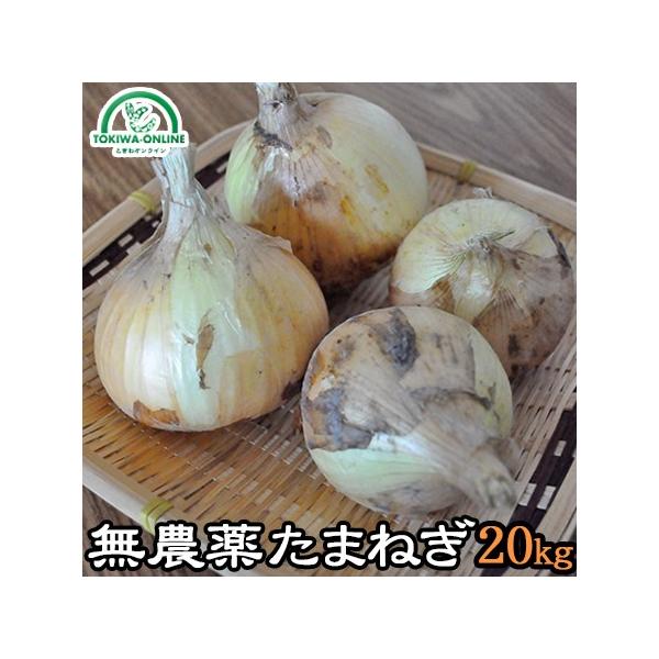【発売日：2026年03月21日】■商品■　無農薬たまねぎ■内容量■　約20キロ■発送情報■　発送予定（納期情報）を必ずご確認ください。※注文殺到の場合は、さらにお届けに日数をいただく場合もあります。あらかじめご了承ください。■収穫時期■　...