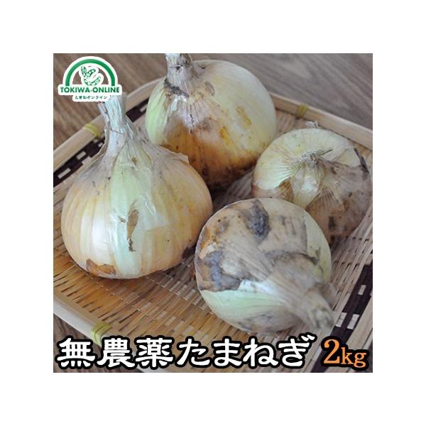 【発売日：2026年03月21日】■商品■　無農薬たまねぎ■内容量■　約2キロ■発送情報■　発送予定（納期情報）を必ずご確認ください。※注文殺到の場合は、さらにお届けに日数をいただく場合もあります。あらかじめご了承ください。■収穫時期■　4...