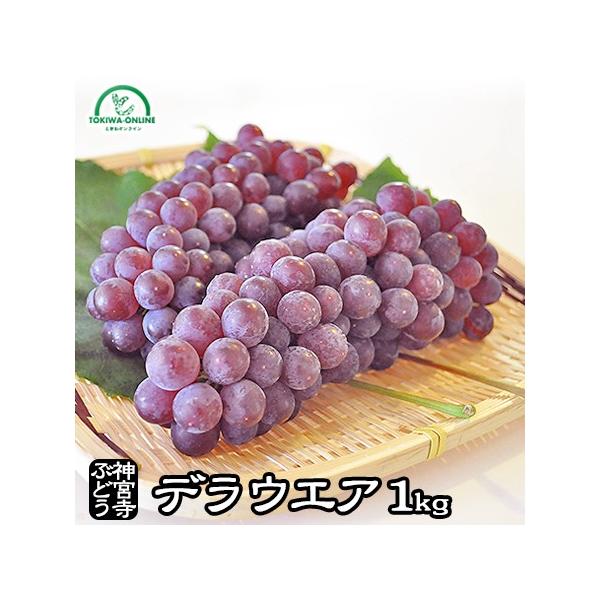 【発売日：2026年06月11日】■商品名■神宮寺ぶどう（ハウスデラウェア）■内容量■　約1キロ（4〜5房入）■発送情報■　発送予定（納期情報）を必ずご確認ください。※注文殺到の場合は、さらにお届けに日数をいただく場合もあります。あらかじめ...