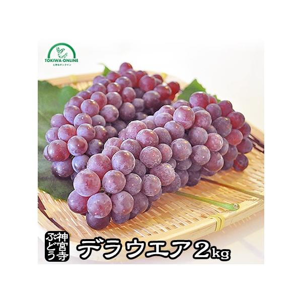 【発売日：2026年06月11日】■商品名■神宮寺ぶどう（ハウスデラウェア）■内容量■　約2キロ（8〜10房入）■発送情報■　発送予定（納期情報）を必ずご確認ください。※注文殺到の場合は、さらにお届けに日数をいただく場合もあります。あらかじ...