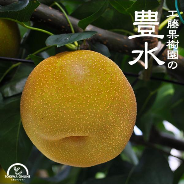 【発売日：2026年08月01日】■品種■　豊水（梨）■内容量■　約5kg■発送情報■　発送予定（納期情報）を必ずご確認ください。※注文殺到の場合は、さらにお届けに日数をいただく場合もあります。あらかじめご了承ください。■収穫時期■　8月下...