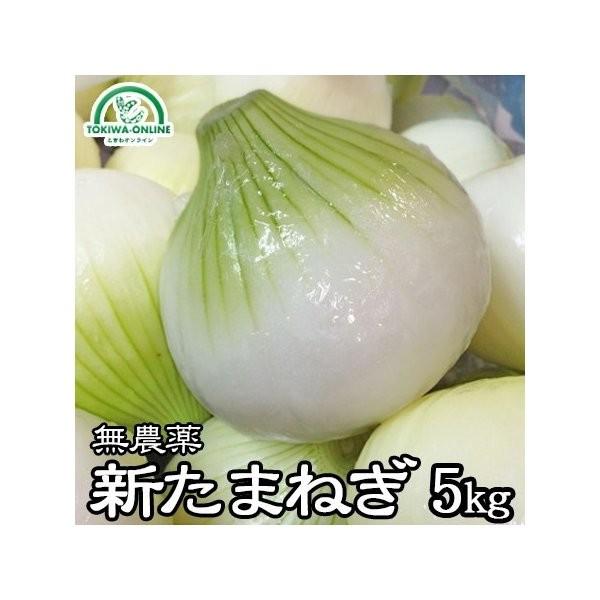 【発売日：2026年03月01日】■商品■　無農薬　新玉ねぎ■内容量■　約5kg■発送情報■　発送予定（納期情報）を必ずご確認ください。※注文殺到の場合は、さらにお届けに日数をいただく場合もあります。あらかじめご了承ください。■収穫時期■　...