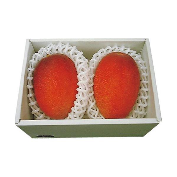 【返品不可商品】