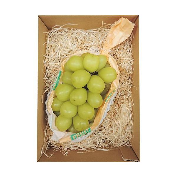 【返品不可商品】