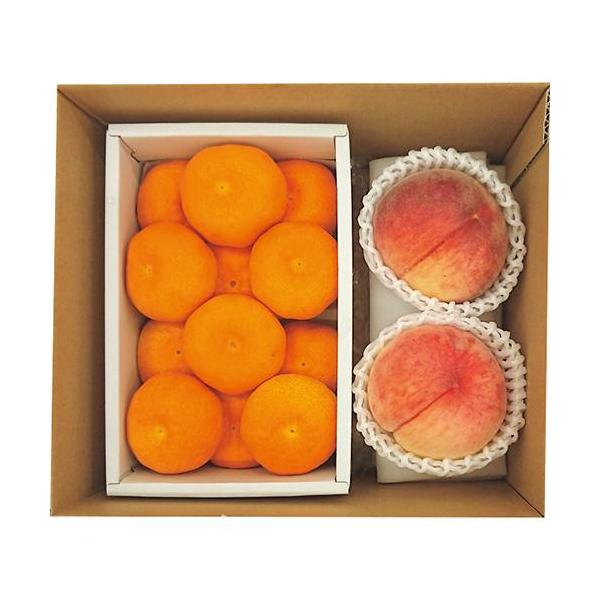 【返品不可商品】