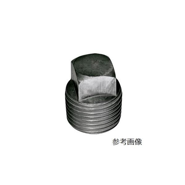 商品名：イシグロ　Ｉ　ｖａｌｕｅ　黒 鉄プラグ　クロテツP 10A　1045977