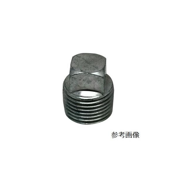 商品名：イシグロ　Ｉ　ｖａｌｕｅ　白 鉄プラグ　シロテツP 8A　1045982