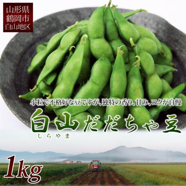 夏といえばエダマメ！ビールのお供に、子供たちのおやつ、豆ご飯にも！独特の形、甘み、風味が人気！【えだまめ エダマメ 枝豆 まめ マメ 豆 野菜 産直 取寄せ 夏野菜 酒の肴 おつまみ 豆ご飯】