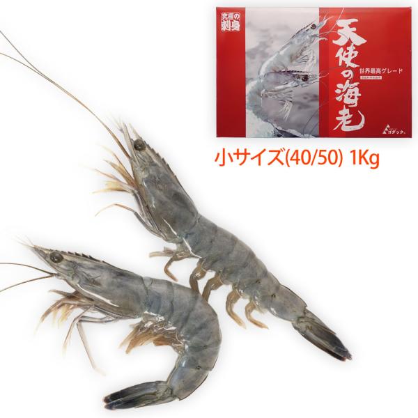 一尾あたり、約１８ｇ　約１２ｃｍのえびです。小ぶりなえびは上品なお刺身や天ぷらに最適です。１Ｋｇ箱入りになります。全く汚染のない安全な天然海水による粗放養殖をおこなっており、抗生物質は一切使用しておりません。□食品表示名称：生食用・天使の海...
