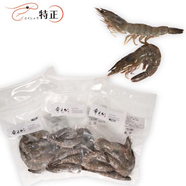 幸えびは、日本国内で希少な大規模陸上養殖により生産される高品質なバナメイエビです。養殖池は、約40m×約12mプールが6レーンという広大な環境で、ストレスフリーで健康に育っています。養殖に使う水は、アルプスの雪解け水と遠州灘の恵みの水。雑味...
