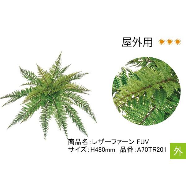 屋外用下草です。密度を増すほどに草花が多い茂ったイメージを演出します。