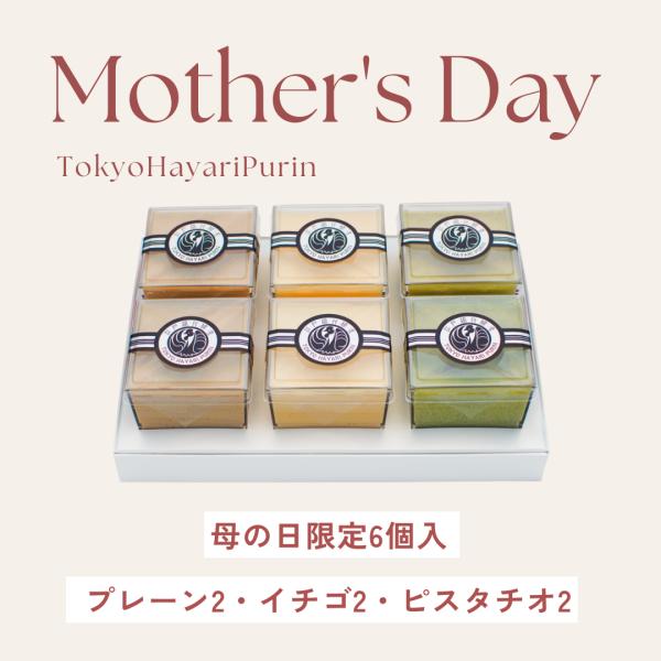 母の日限定！ピスタチオと人気Ｎo.１プレーンとイチゴの各2個ずつ【6個入り】の１箱です。贈答用の紙袋（有料）もご用意しております。1つ1つすべてが【手づくり】です。【特徴・こだわり】・二層プリン・低温スチームで蒸し焼き・贈答におすすめ・ギフ...