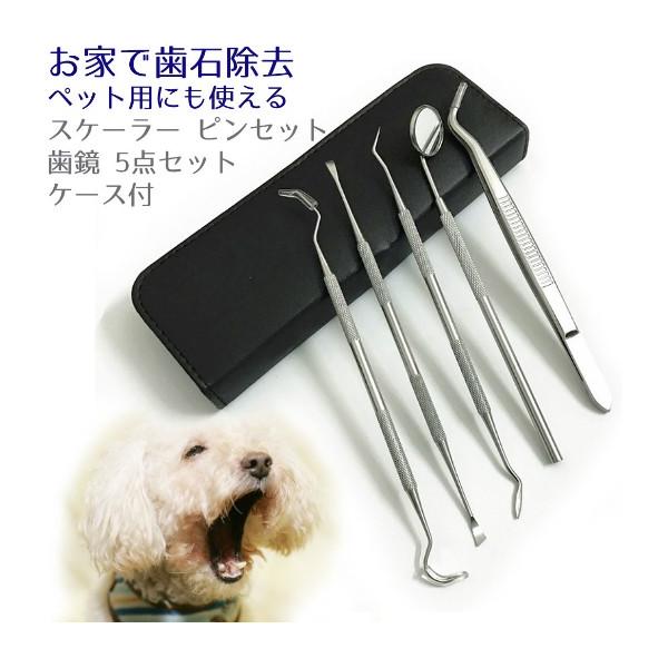 【レビューを書いて全国送料無料】自宅で簡単に歯のケアーができる5点セットになります。歯科環境が汚れてると美味しい食べ物も美味しく感じられなくなり笑って見えた歯汚くみえイメージダウンになりますホームケアーしっかりして美味しく楽しい時間にしまし...