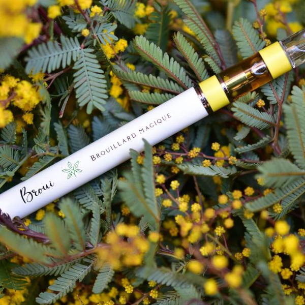 BROUILLARD MAGIQUE チャクラシリーズのスターターセットです。第1チャクラから第8チャクラまでのチャクラカラーに合わせた香りを調合しました。品質保持剤、日持ち向上剤、酸化防止剤等を使用せず、品質にこだわった商品です。あなたの...