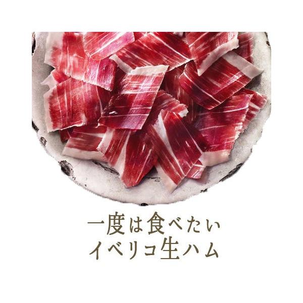 イベリコ豚　ベジョータ　生ハム　スライス　36ヵ月熟成　【100g】　prosciutto　＜スペイン産＞【冷蔵品】
