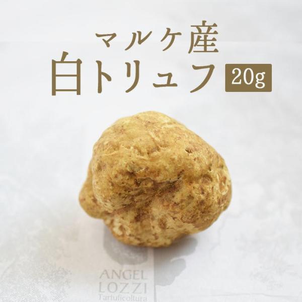 マルケ産　白トリュフ　【送料無料・予約不要】 truffe　トリュフ　＜イタリア　マルケ＞　アンジェロッツィ社【1P＝約20g】【￥675/1g再計算】【冷蔵品】