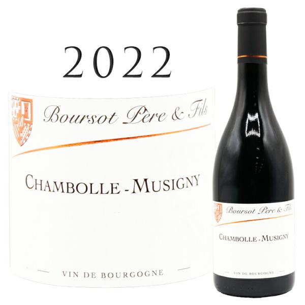 フランス ブルゴーニュ コートドニュイ コートドール ピノノワール 赤ワイン 赤 ワイン プレゼント ギフト 高級