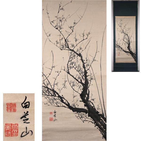 白川芝山 「墨梅図」 肉筆紙本 江戸絵画 淡路島の画家 日本画 南画 中国画 書画 掛軸 長崎派【華芳】