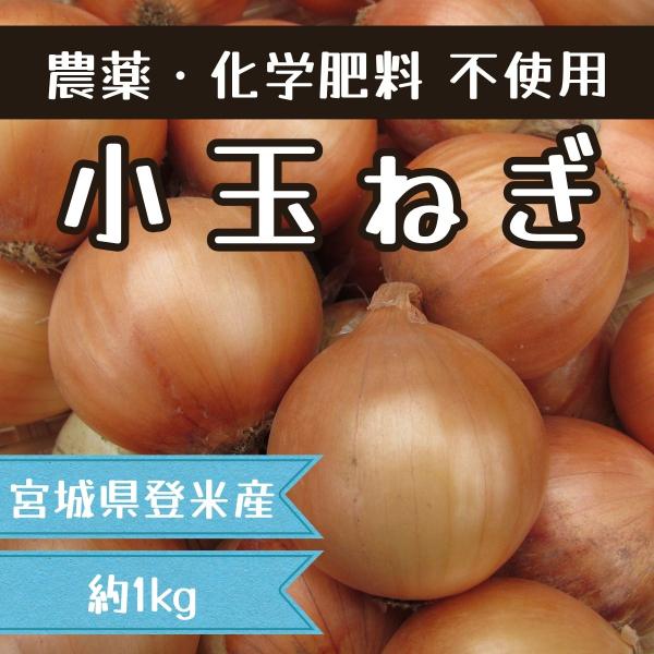 農薬を使わずに育てた玉ねぎ。こちらは、小ぶりなサイズの「小玉ねぎ」。まるごとスープに入れたり、ピクルスにおすすめです！※サイズによって個数にバラつきがあります。※お米、その他の商品と野菜を一緒にご予約される場合、商品の発送は全て【野菜】と同...