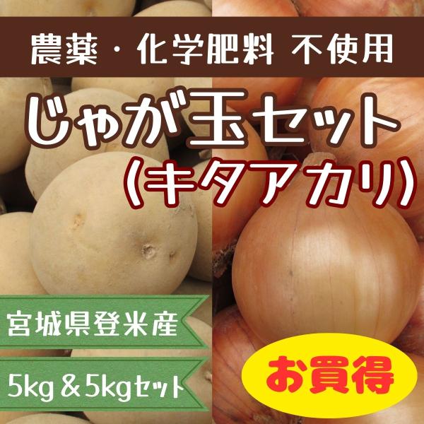 ＜じゃがいもと玉ねぎのお得なセット！＞こちらは【キタアカリ】のセットになります。※サイズによって個数にバラつきがあります。※お米、その他の商品と野菜を一緒にご予約される場合、商品の発送は全て【野菜】と同時に行います。野菜以外の商品をすぐに欲...
