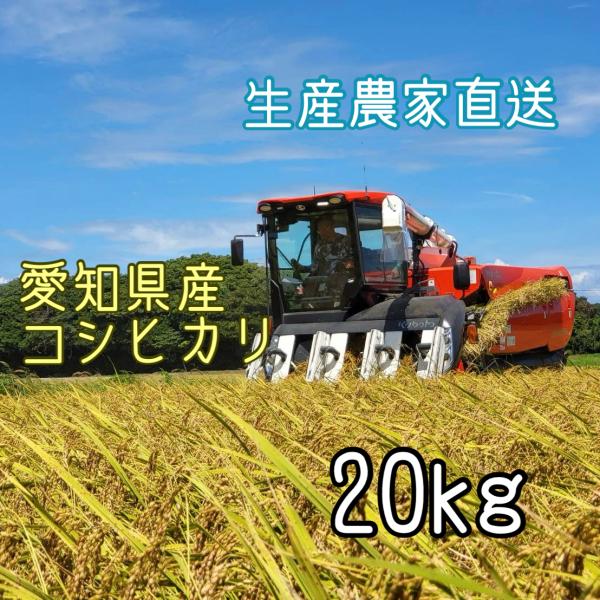 【発売日：2025年10月01日】太陽と大地が育てたおいしいお米！農業王国【田原市】からお届けします。米農家！産地直送！令和7年度愛知県産コシヒカリ苗作りから一貫して行っております。ご注文いただいた後、発送前に精米を行います。色彩選別機を通...