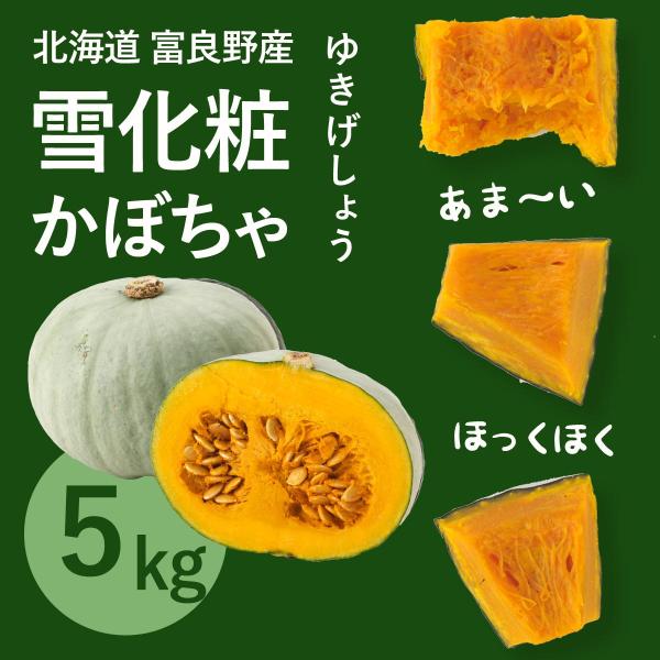 【発売日：2025年10月20日】高い糖度と風味を追求した高品質で希少なかぼちゃ「雪化粧」。デンプン質が高いのでホックホクの食感が楽しめます。商 品 名：富良野産 かぼちゃ雪化粧内 容 量：5kg（2〜3玉入）※玉数のご指定はできません産　...