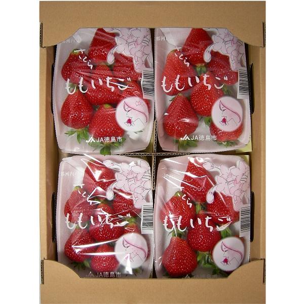 【発売日：2026年01月08日】プレミアムフルーツ(さくらももいちご)の2Lサイズ4パック入りです。佐那河内村のハウス苺部会からの出荷です。(ももいちご)のハウスの中の同じ環境で育ったもうワンランク上を目指して生まれました。 プレミアムフ...