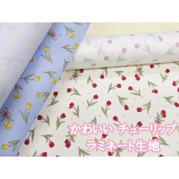 ※数量５(長さ５０ｃｍ)以上からご注文をお願い致します。☆入力例☆例　〇　生地幅×長さ５０ｃｍサイズご希望の場合は「5」例　〇　生地幅×長さ６０ｃｍサイズご希望の場合は「6」例　〇　生地幅×長さ１ｍ２０ｃｍサイズご希望の場合は「12」☆ご対...