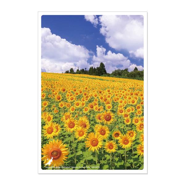 いろは出版公式オンラインストア