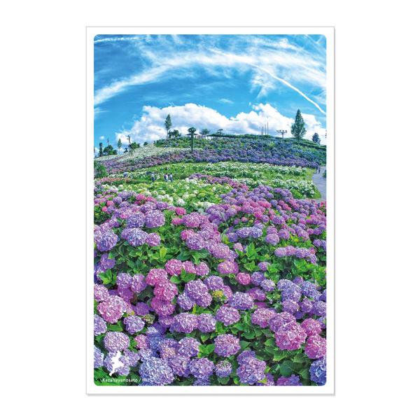 いろは出版公式オンラインストア