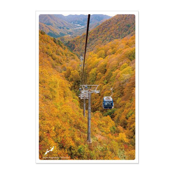 いろは出版公式オンラインストア