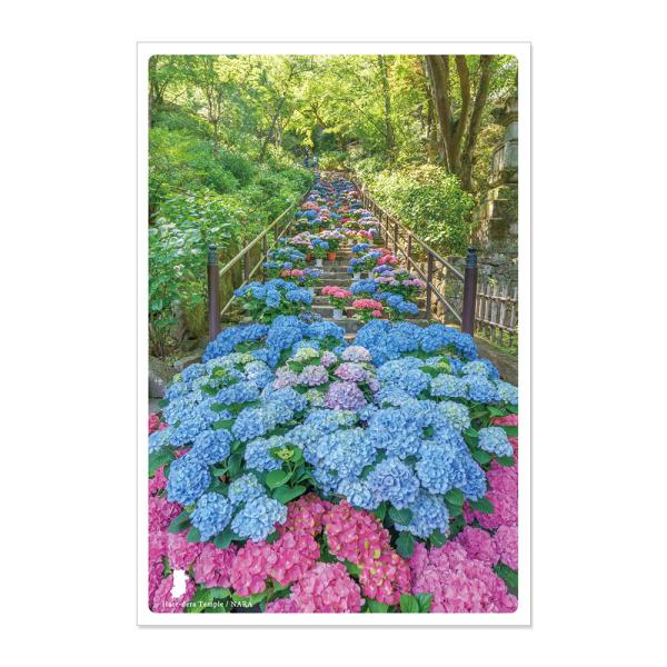 日本の四季は、世界に負けないほどの美しさがある。日本の"春"絶景ポストカードです。北海道から沖縄まで、様々な都道府県で絶景が待っています。全て旅人がそれぞれの目で見た、日本の"春"そのものが映し出されたポストカードは、きっと日本の四季の素晴...