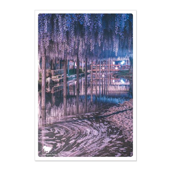 日本の四季は、世界に負けないほどの美しさがある。日本の"春"絶景ポストカードです。北海道から沖縄まで、様々な都道府県で絶景が待っています。全て旅人がそれぞれの目で見た、日本の"春"そのものが映し出されたポストカードは、きっと日本の四季の素晴...