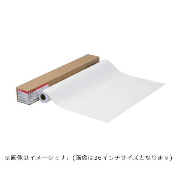 ラージフォーマットプリンタ用光沢紙。  入り数:1本/箱。  サイズ:B2(515mm)×30m。  坪量:170g/m2。※ご注文日・出荷日が休業日（土日祝日）の場合、翌営業日の発送となります。※離島にお住まいの方は地域によって送料が異な...