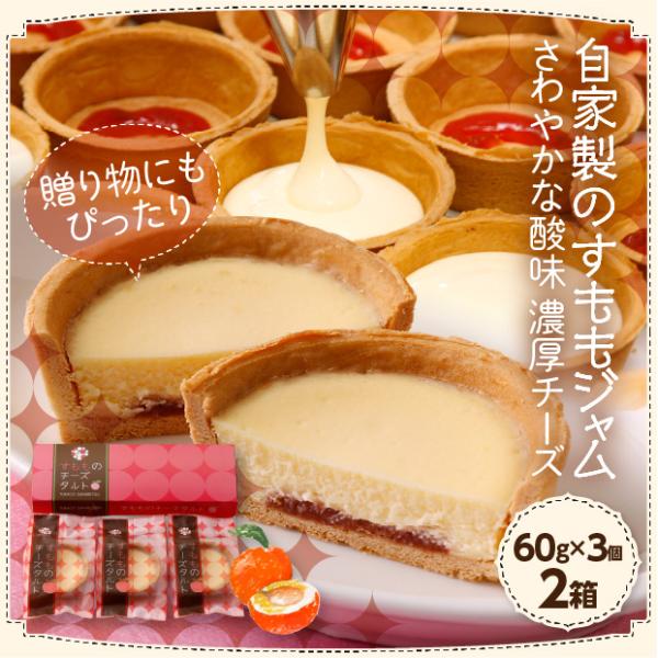●すもものチーズタルト （60g×3個）×2箱